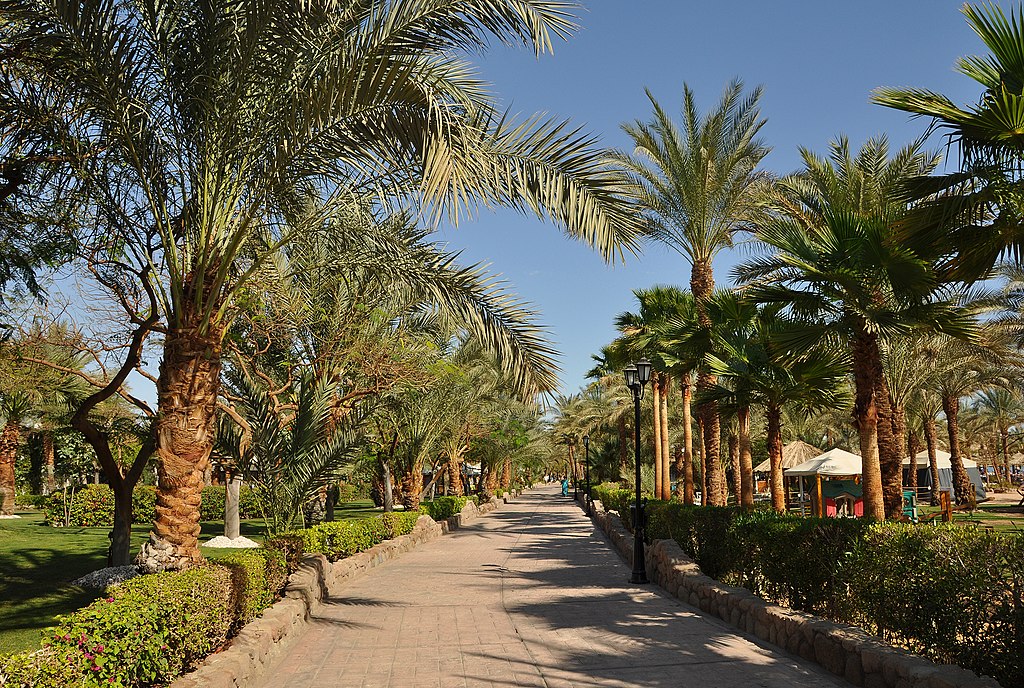 Le meilleur de l'Egypte - Dunia Travel